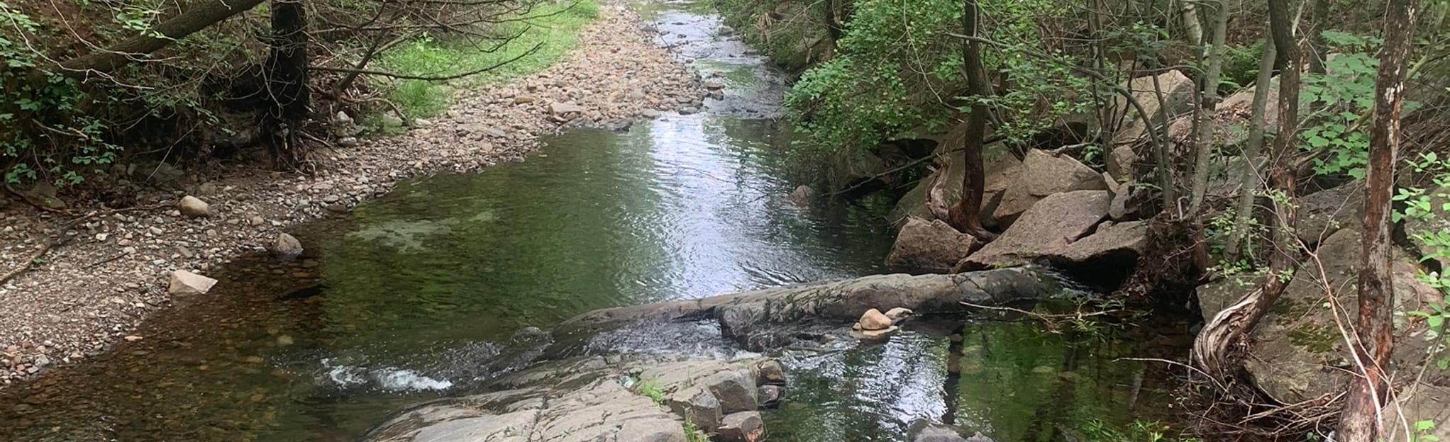 Great Meadow Loop Trail, Maine - 176 Reviews, Map | AllTrails