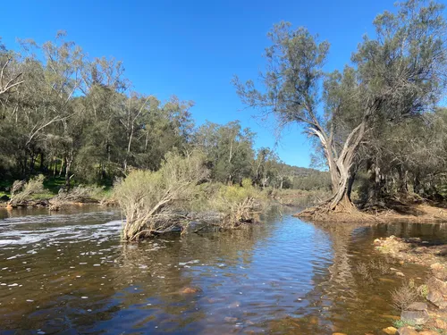 Best Hikes and Trails in Bells Rapids Park | AllTrails