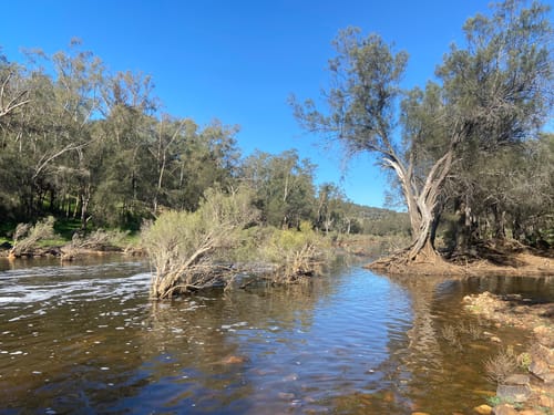 Best Hikes and Trails in Bells Rapids Park | AllTrails