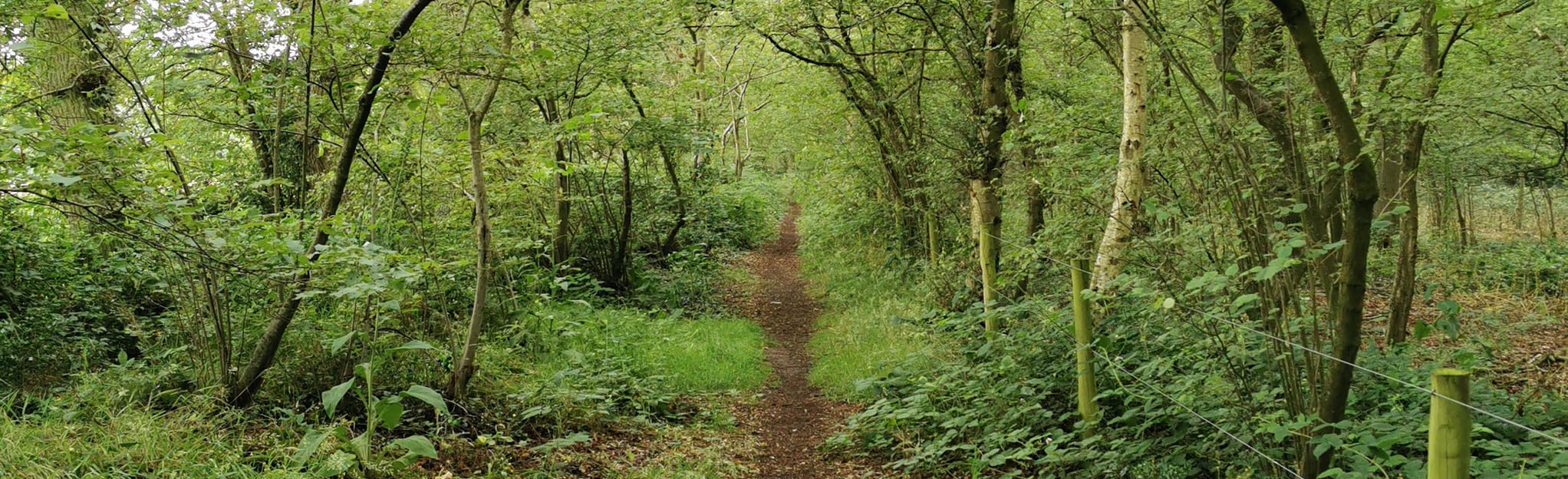 Pamber Forest and The Plough Inn, Hampshire, England - 55 Reviews, Map ...