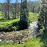 Bacon Rind Creek Trail, Montana - 87 Reviews, Map | AllTrails