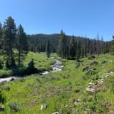 Bacon Rind Creek Trail, Montana - 87 Reviews, Map | AllTrails