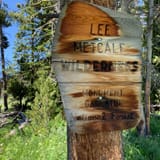 Bacon Rind Creek Trail, Montana - 87 Reviews, Map | AllTrails