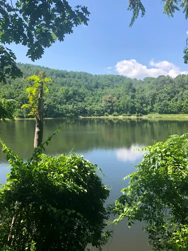 Best Hikes and Trails in G. Richard Thompson Wildlife Management Area ...