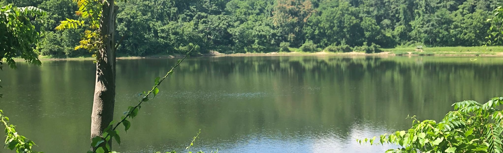 GR Thompson Trail Loop, Virginia - 285 Reviews, Map | AllTrails