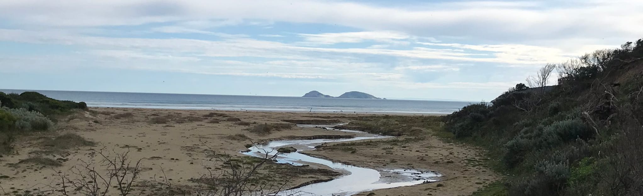 Telegraph Track to Oberon Beach: 104 foto's - Victoria, Australië ...