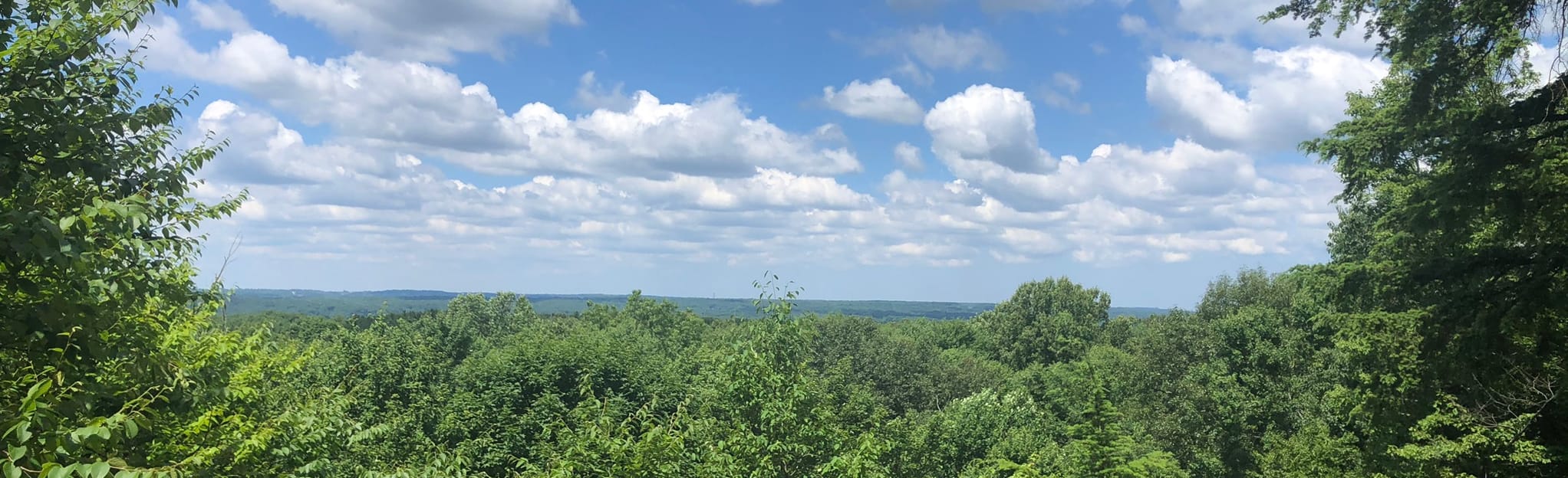 Ledges, Pine, Kendall Lake Loop, Ohio - 440 Reviews, Map | AllTrails