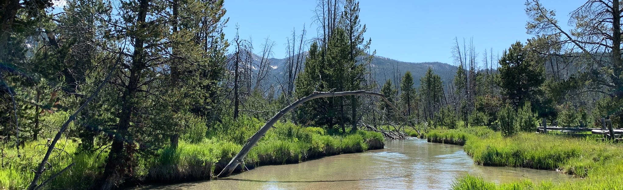 Alpine Way to Stanley Lake Trail: 360 foto's - Idaho | AllTrails