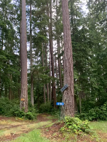 Best Lake Trails in Langley | AllTrails