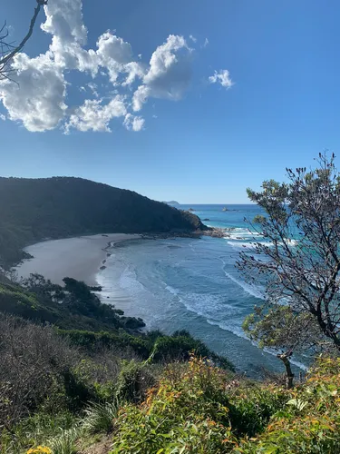 Best Hikes and Trails in Broken Head Nature Reserve | AllTrails