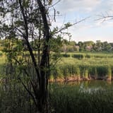 Rattray Marsh Conservation Area, Ontario, Canada - 274 Reviews, Map ...