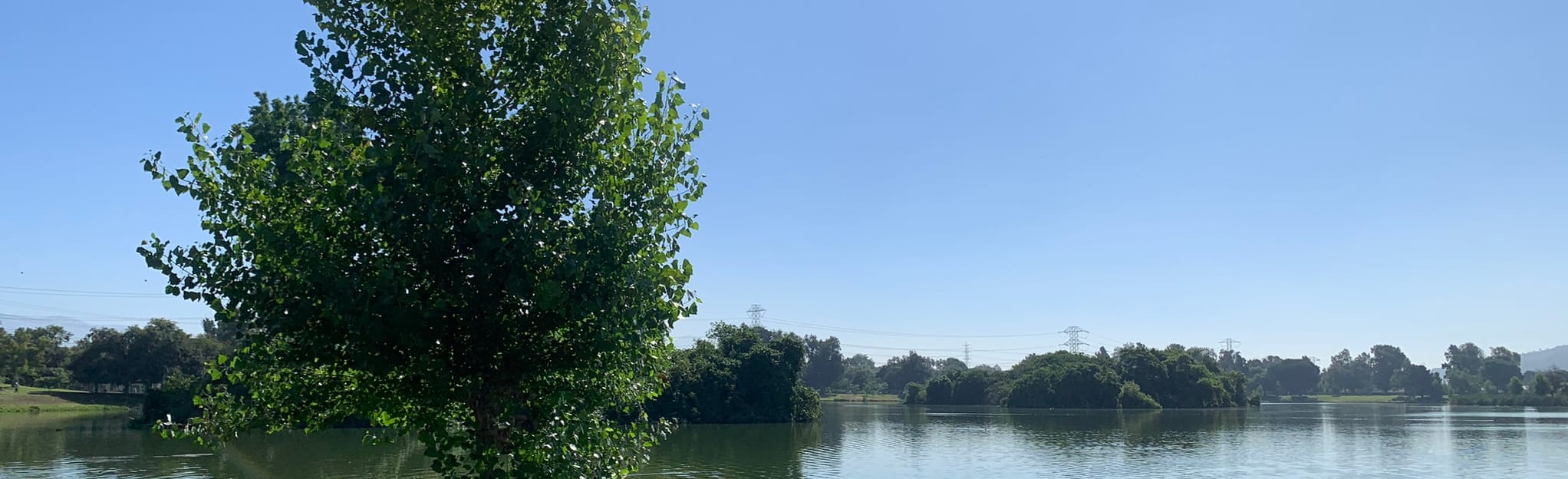 Legg Lake Loop Trail: 1055 Reviews, Map - California | AllTrails
