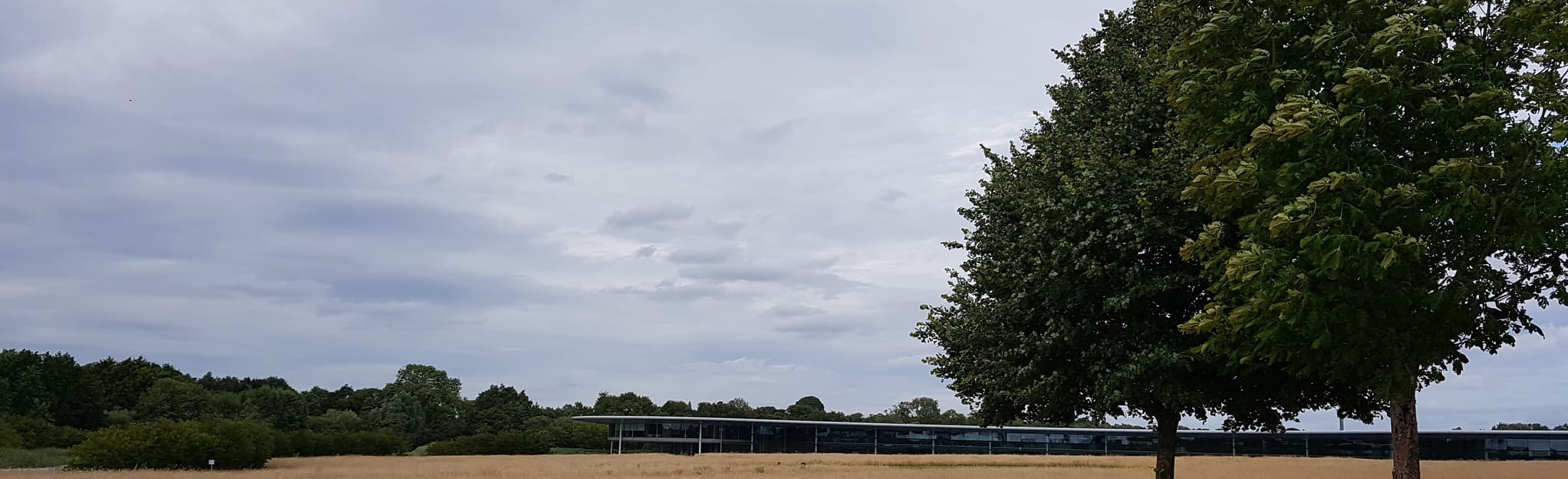 Horsell Common and Stanners Hill Circular: 20 Reviews, 157 Photos, Map ...