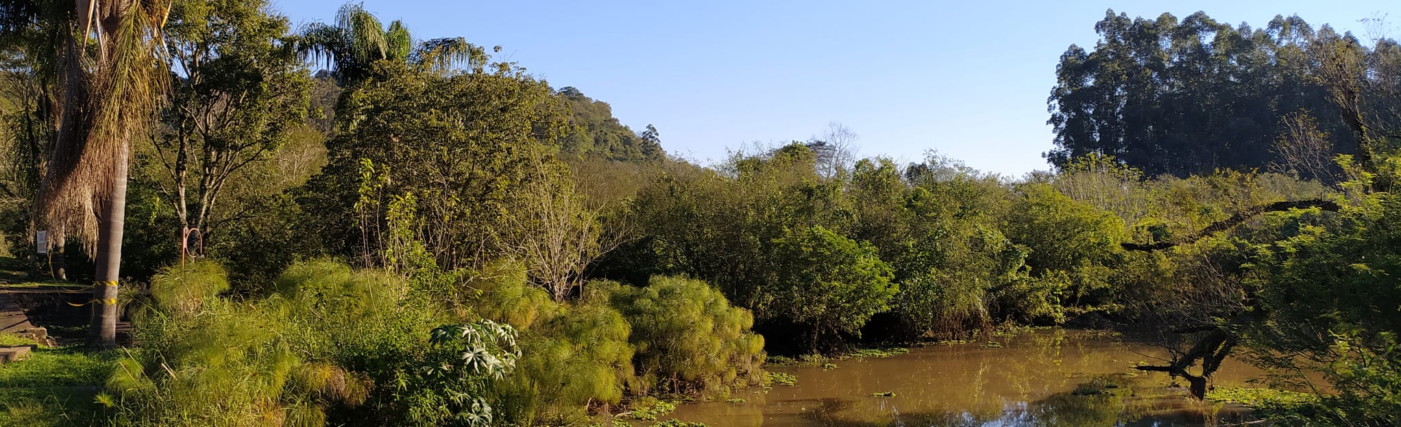 Ivoti - Cascata São Miguel - Ponte do Imperador - Palmares, Rio Grande ...
