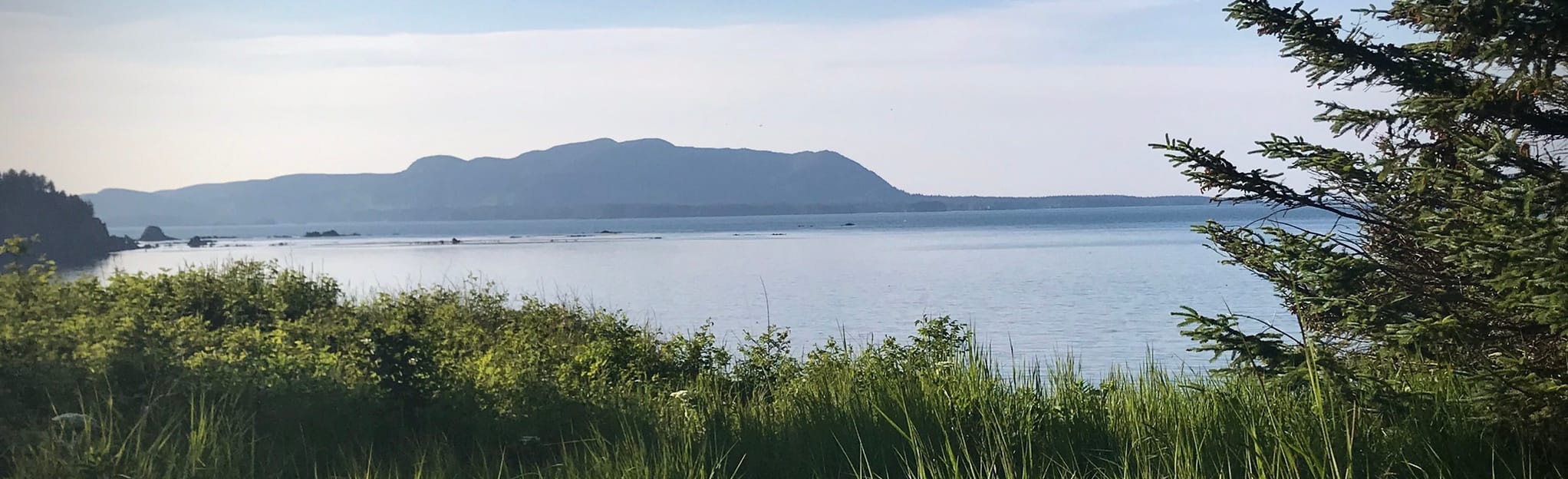 AllTrails | Spruce Cape Trail: 71 Reviews, Map - Alaska