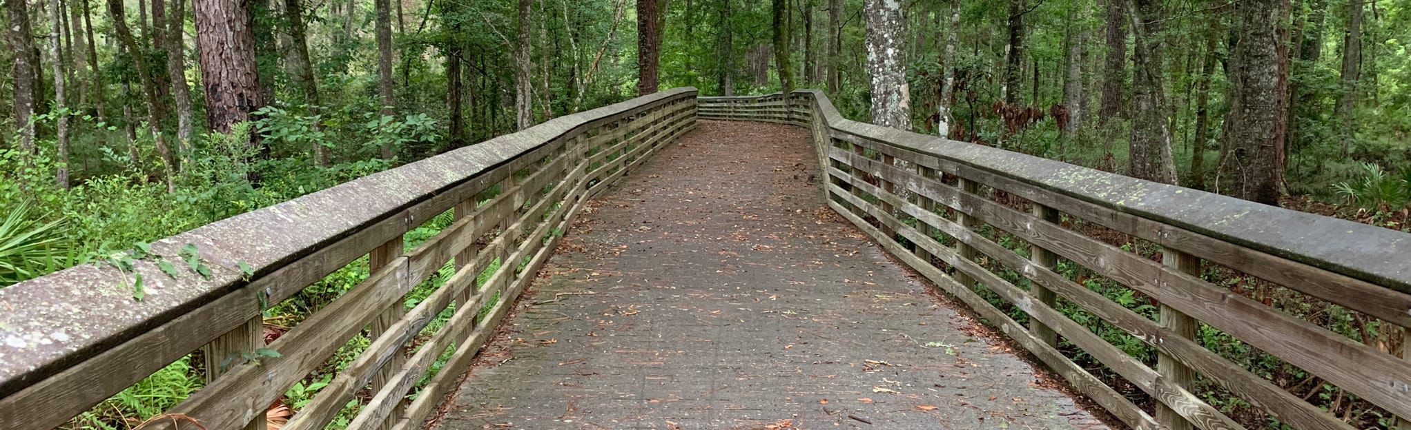 Woodpecker Trail: 78 Fotos - Florida | AllTrails