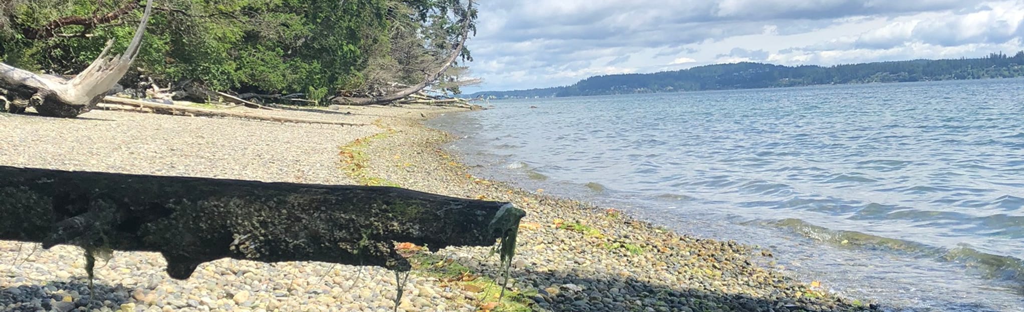 Penrose Point State Park Trail [CLOSED], Washington - 314 Reviews, Map ...