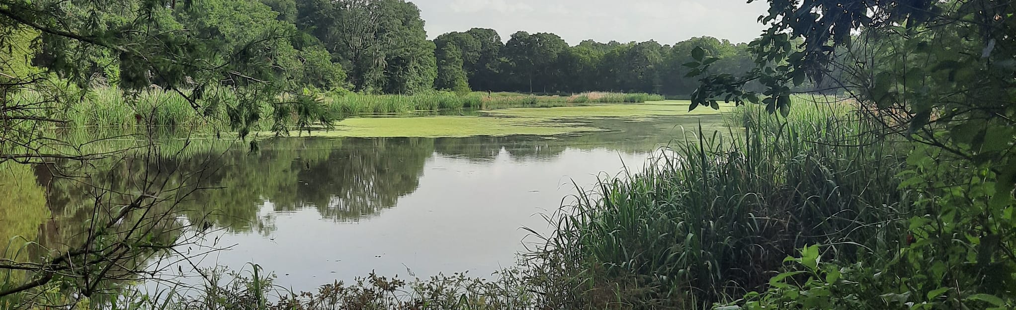 George Observatory Trail, Texas - 15 Reviews, Map | AllTrails