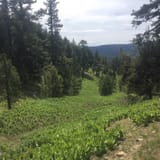 Round Mountain from South Trailhead, Oregon - 32 Reviews, Map | AllTrails