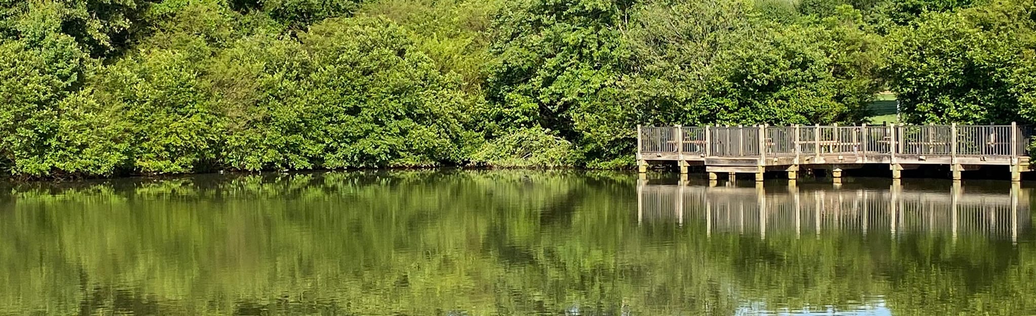 Alexander Park Scenic Loop: 587 Reviews, Map - Georgia | AllTrails