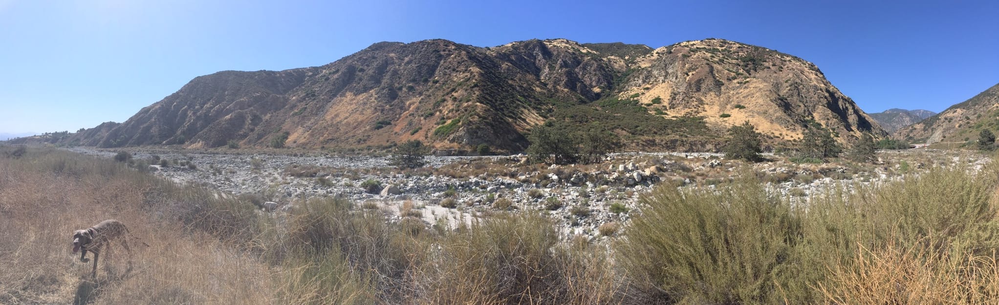 Mentone Loop, California - 16 Reviews, Map | AllTrails