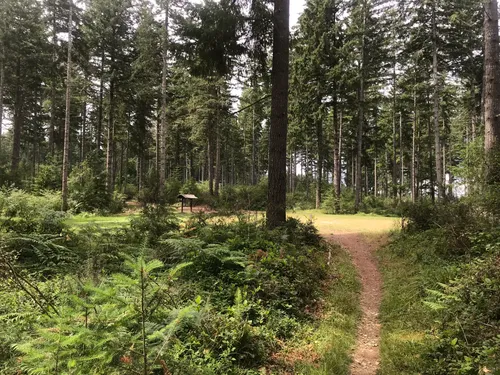 10 Best Trails and Hikes in Gig Harbor | AllTrails
