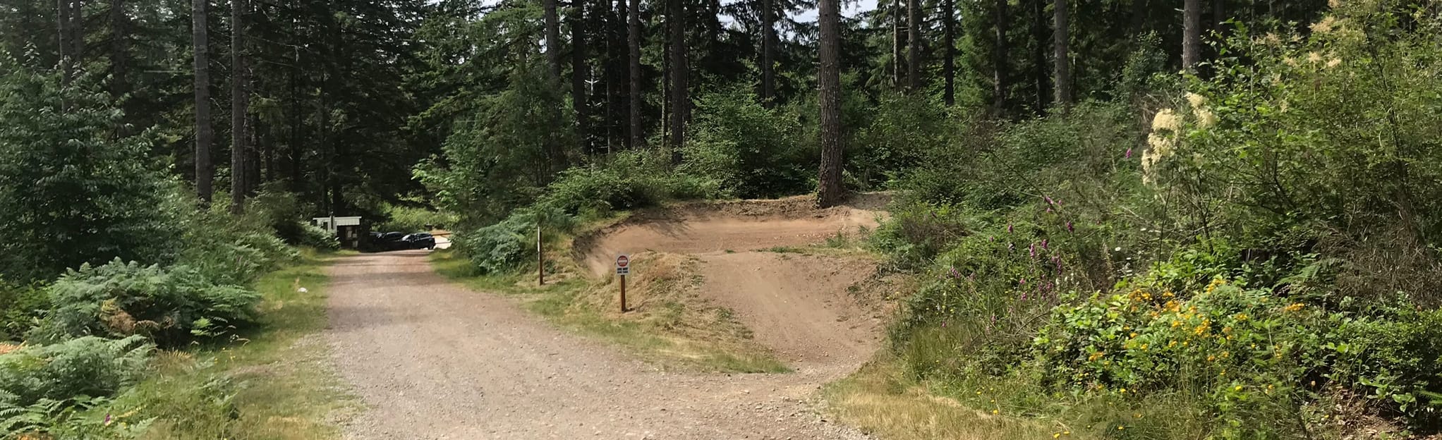 360 Project Main Trail, Washington - 410 Reviews, Map | AllTrails