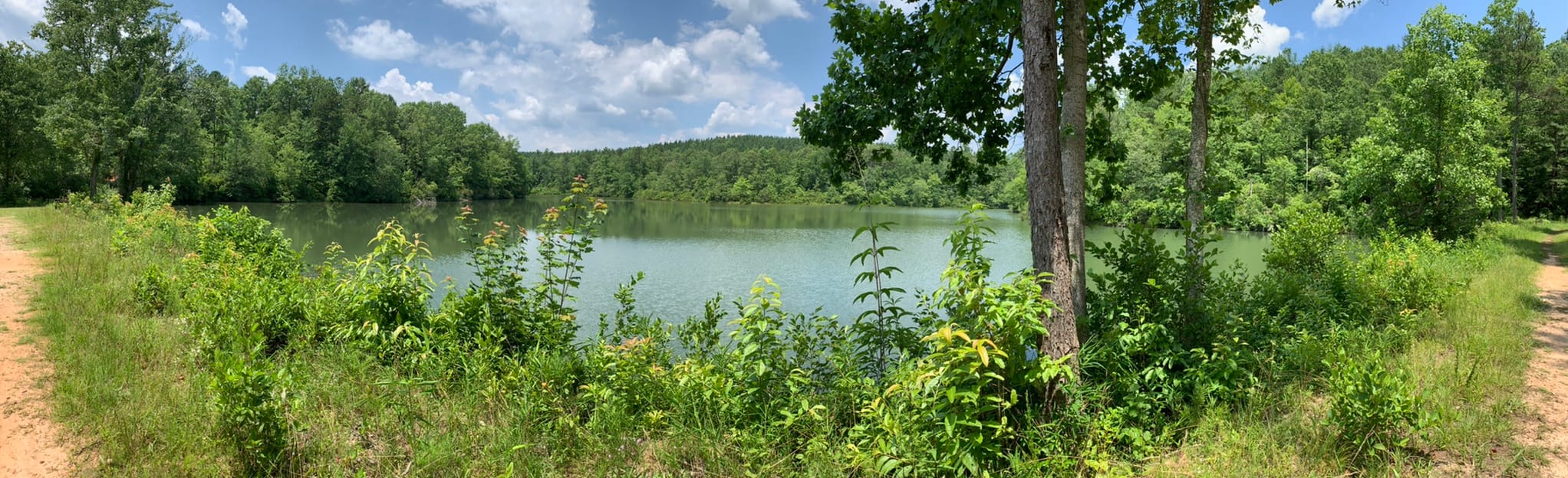 Palmetto Trail: Stumphouse Mountain Passage, South Carolina - 214 ...