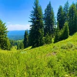 Round Mountain from South Trailhead, Oregon - 34 Reviews, Map | AllTrails