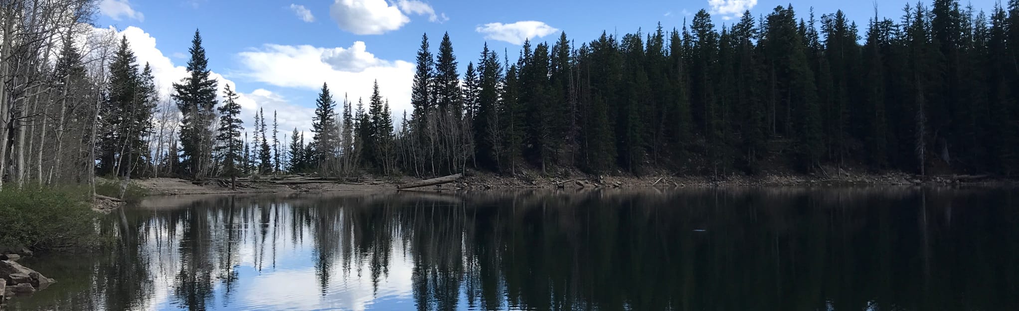 Pittsburg Lake Trail, Utah - 262 Reviews, Map | AllTrails