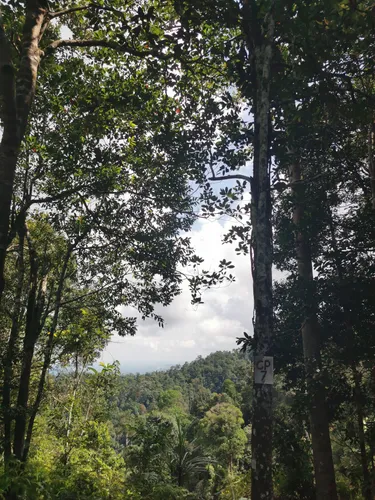 10 Best Trails and Hikes in Johor | AllTrails