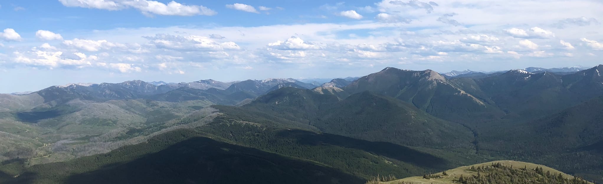 Elk Mountain Trail, Montana - 54 Reviews, Map | AllTrails