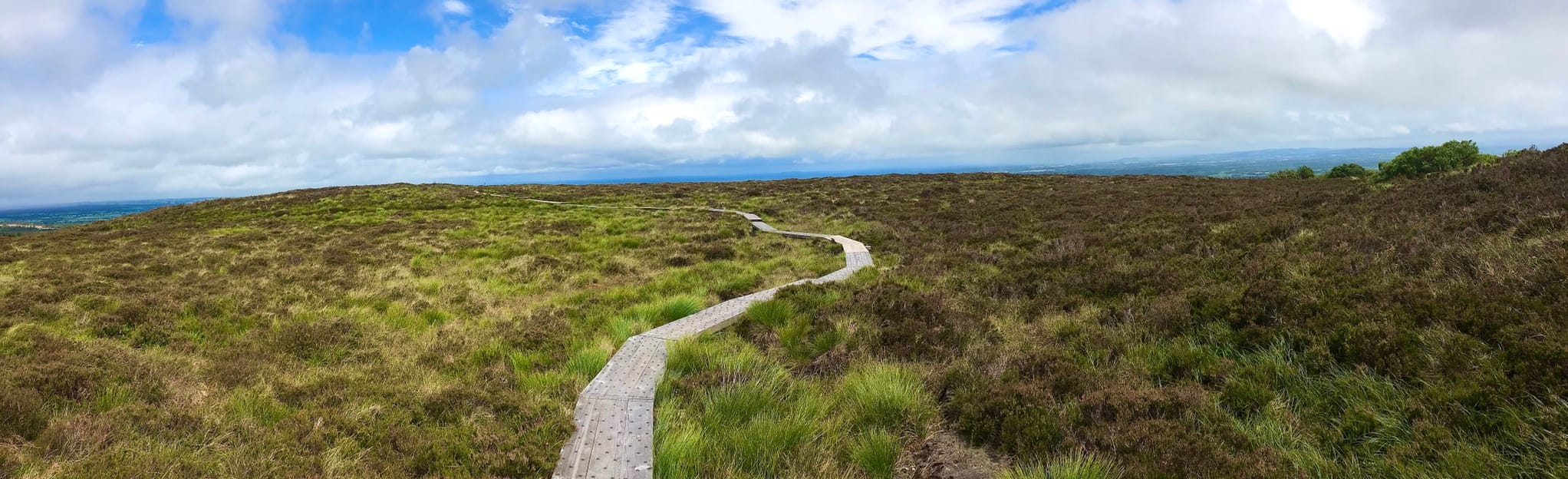 Slieve Bloom Loop | Mappa, Guida - County Laois, Ireland | AllTrails