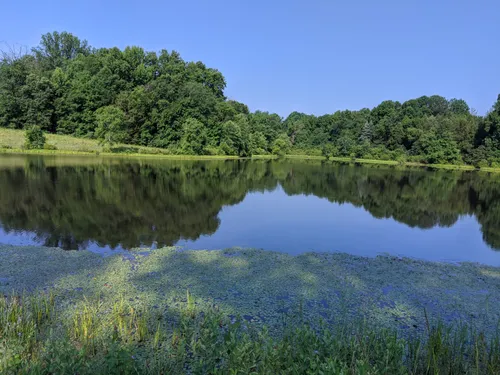 Best Hikes and Trails in Amelia Wildlife Management Area | AllTrails