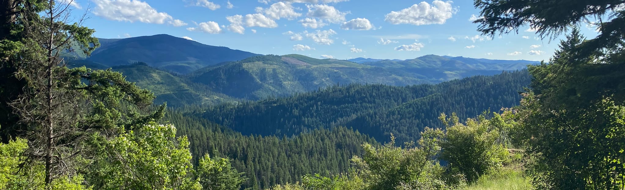 Big Creek Cabin Trail, Idaho - 10 Reviews, Map | AllTrails