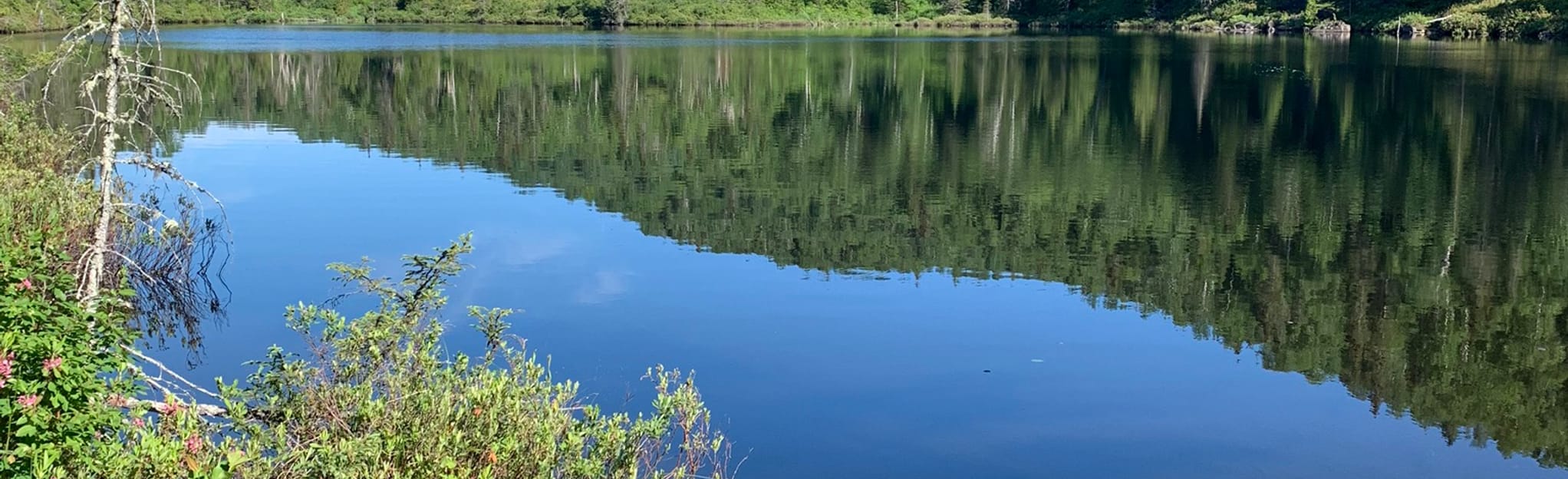 Grand Corbeau Peak, Quebec, Canada - 263 Reviews, Map | AllTrails