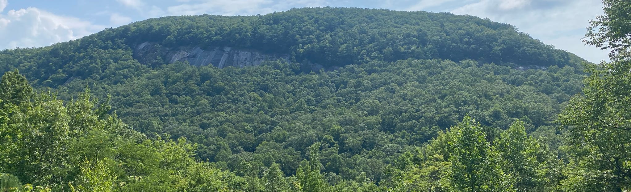 Sassafras to Rock Mountain Overlook, South Carolina - 100 Reviews, Map ...