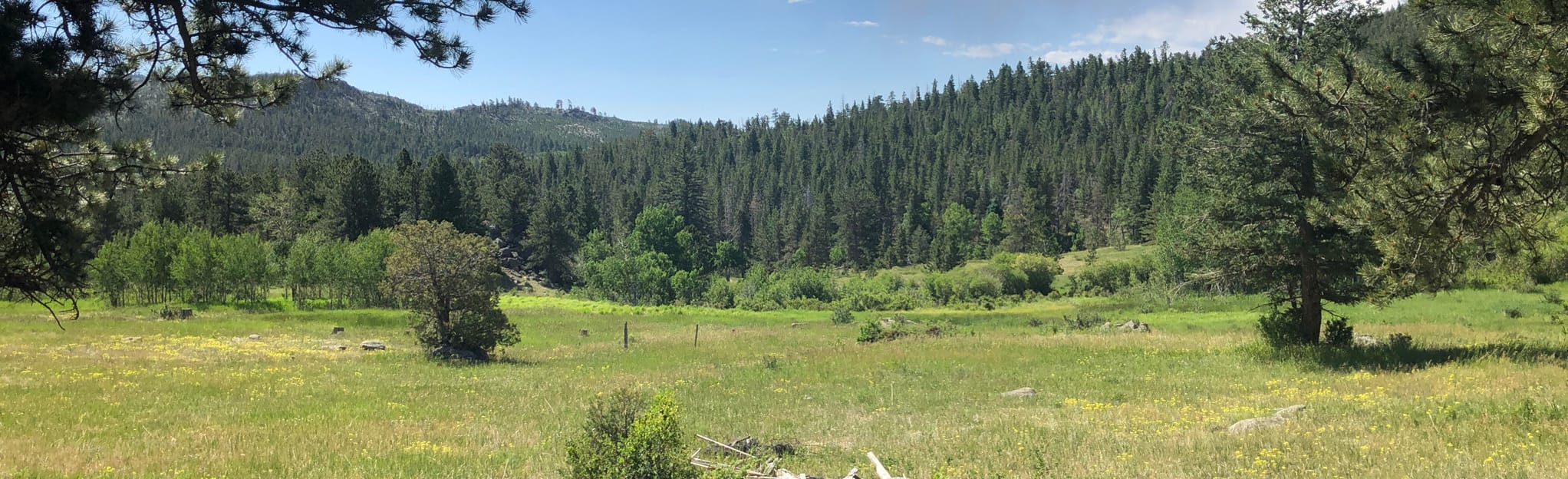 Irvin, Griffith, and Brown Homesteads via Moose Meadow and Meadow Loop ...
