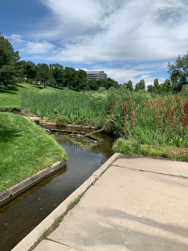 2023 Best Forest Trails in Denver | AllTrails
