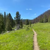 Bacon Rind Creek Trail, Montana - 87 Reviews, Map | AllTrails