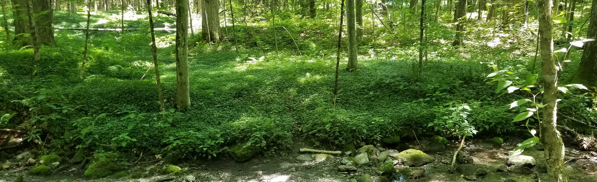 Hancock Shaker Village Farm and Forest Trail, New York - 3 Reviews, Map ...