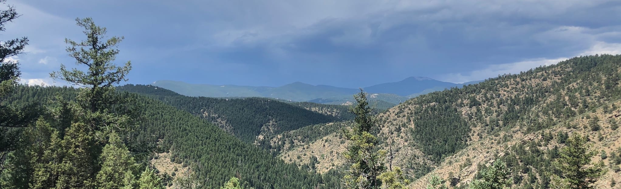 Beaver Brook Trail: 1207 Reviews, Map - Colorado | AllTrails