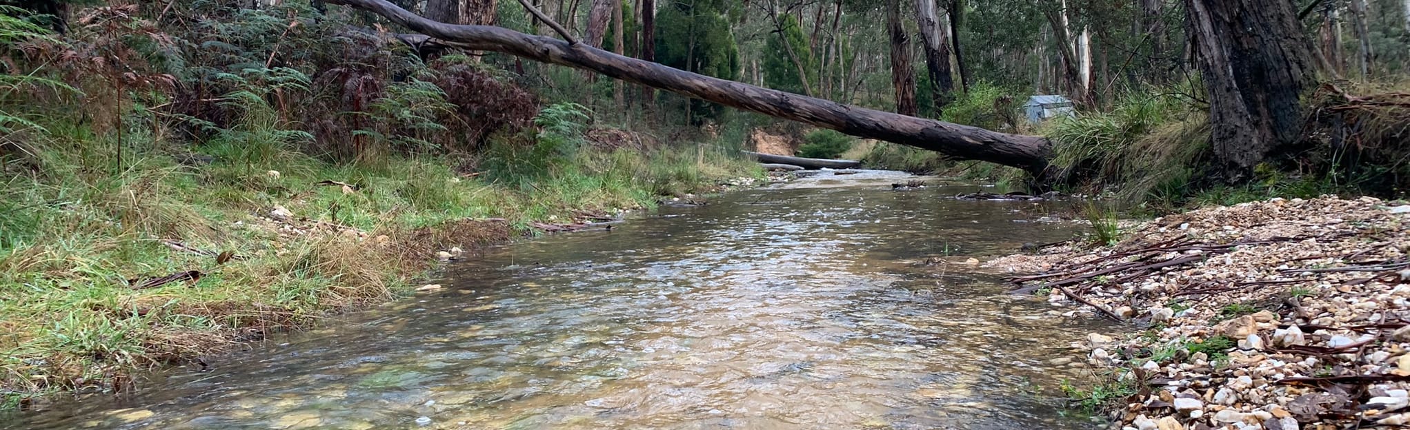 Slaty Creek Camp Ground Loop: 4 Fotos - Victoria, Australia | AllTrails