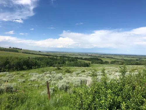 10 Best Trails and Hikes in Red Lodge | AllTrails