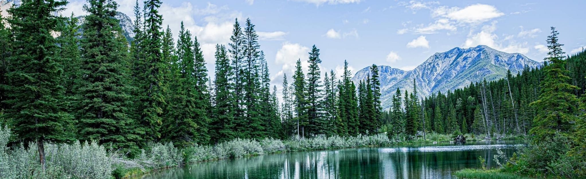 Mount Lorette Pond Trail: 134 Reviews, Map - Alberta, Canada | AllTrails