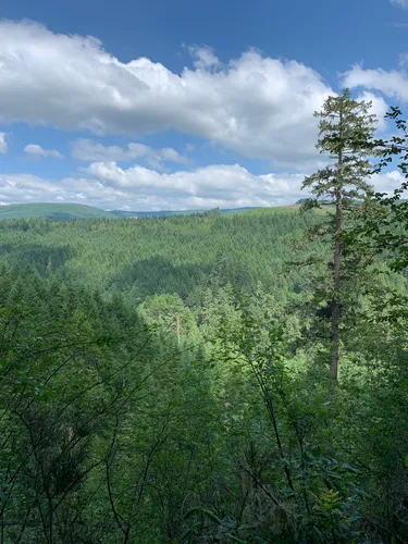 Best Hikes and Trails in Molalla River Corridor Recreation Area | AllTrails