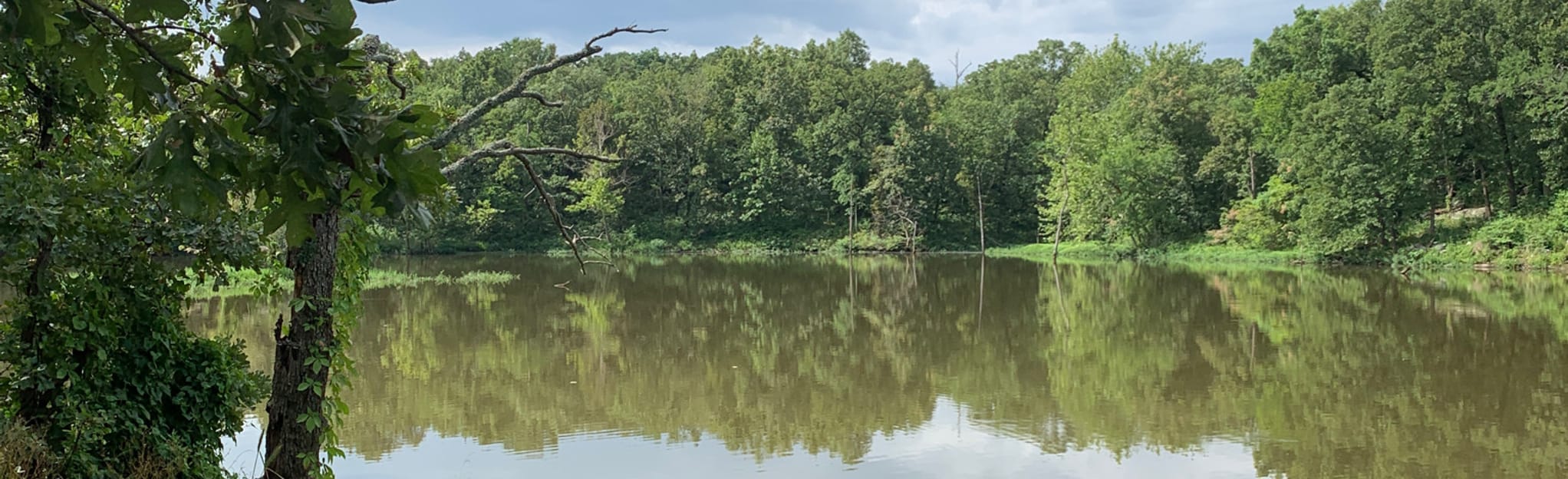 Blaze Trail Loop: 231 Reviews, Map - Oklahoma | AllTrails