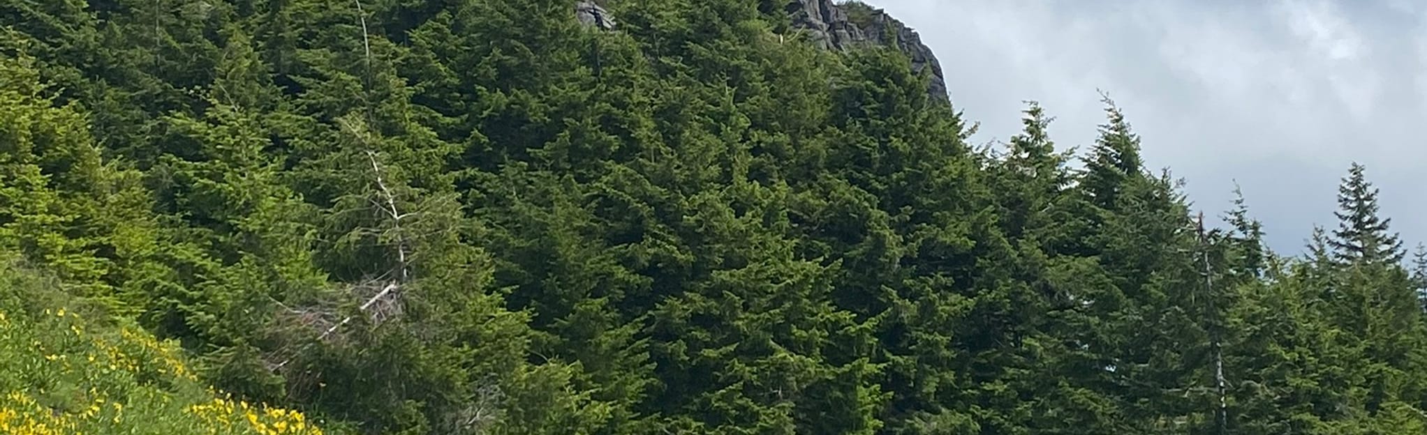 Pechuck Lookout via High Ridge Trail [CLOSED]: 27 Reviews, Map - Oregon ...