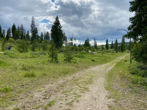10 Best Hikes and Trails in Stake Lake Recreation Site | AllTrails