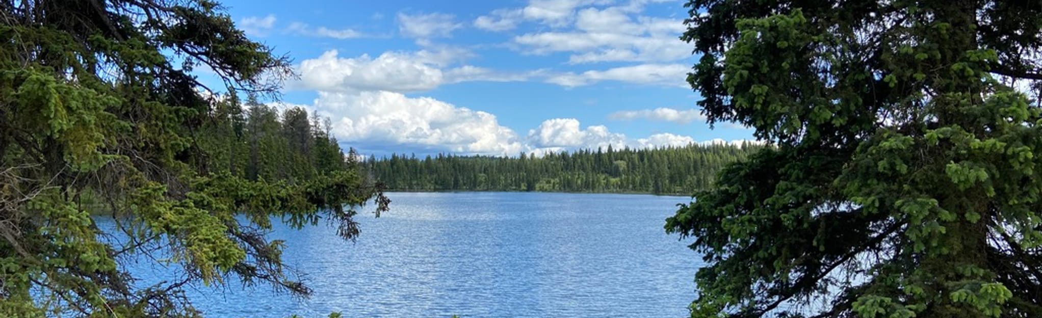 Stake Lake Cartwheel Trail, British Columbia, Canada - 160 Reviews, Map ...